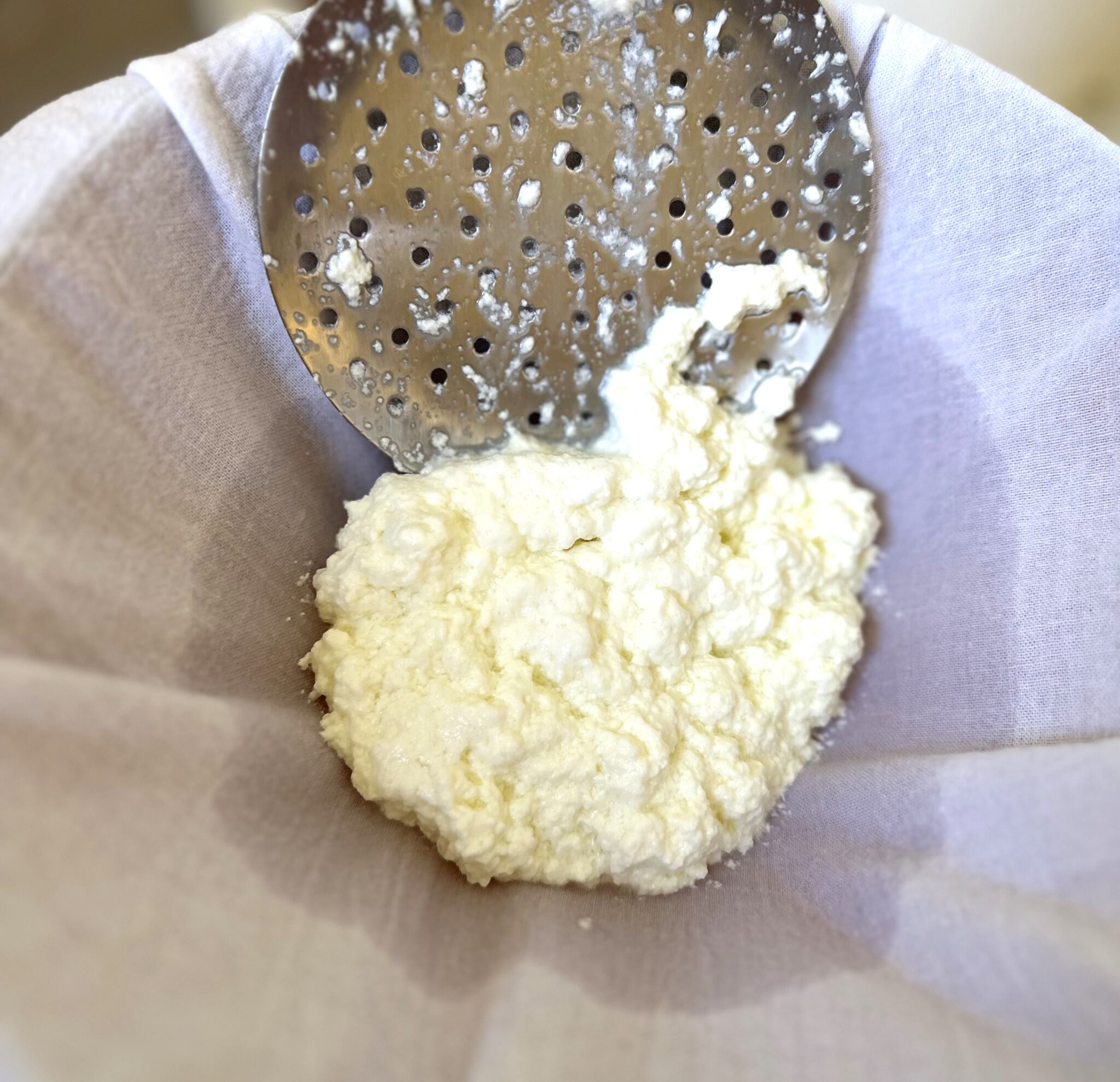 How to make Ricotta Cheese - The Art of Food and Wine